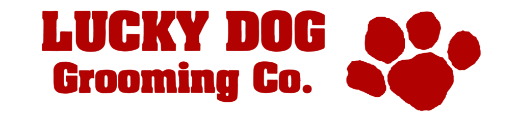 Meet the Groomer/Owner – Lucky Dog Grooming